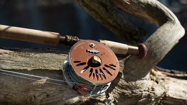 SALAR Daisy Reels | Film Archive – Frödinflies