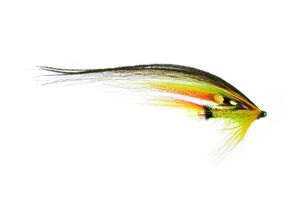 12-pack Classic Green Highlander | Shop now – Frödinflies